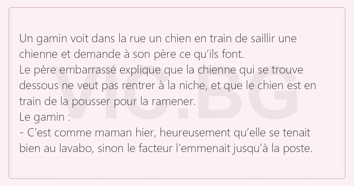 Un gamin voit dans la rue un chien en train de saillir une chienne et ...