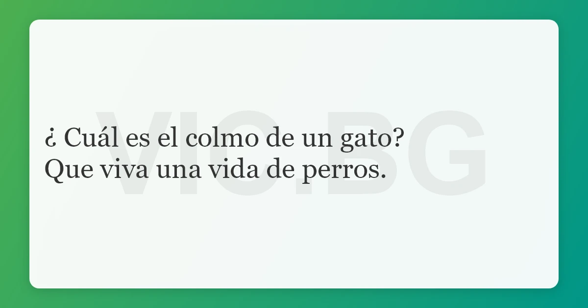 ¿Cuál es el colmo de un gato? Que viva una vida de perros.
